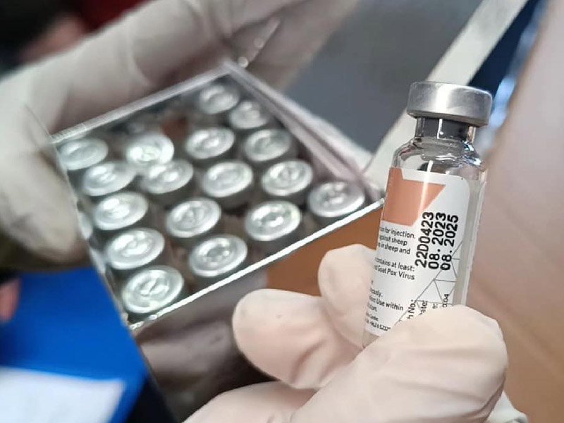 Тусламжийн 1 сая тун вакциныг хүлээн авлаа